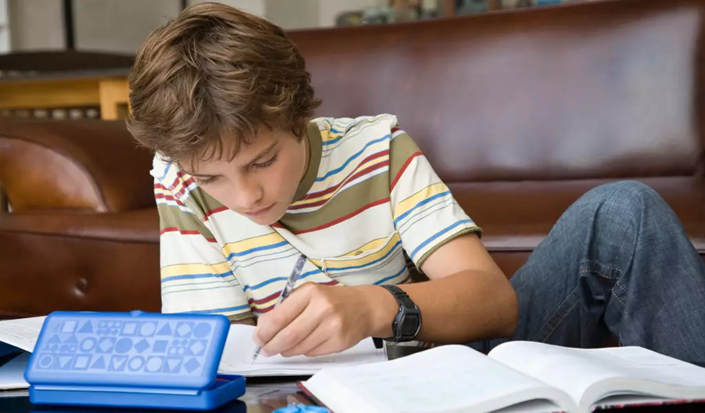 ADHD-тай үед гэрийн даалгавар хийх нь өвдөлттэй байдаг