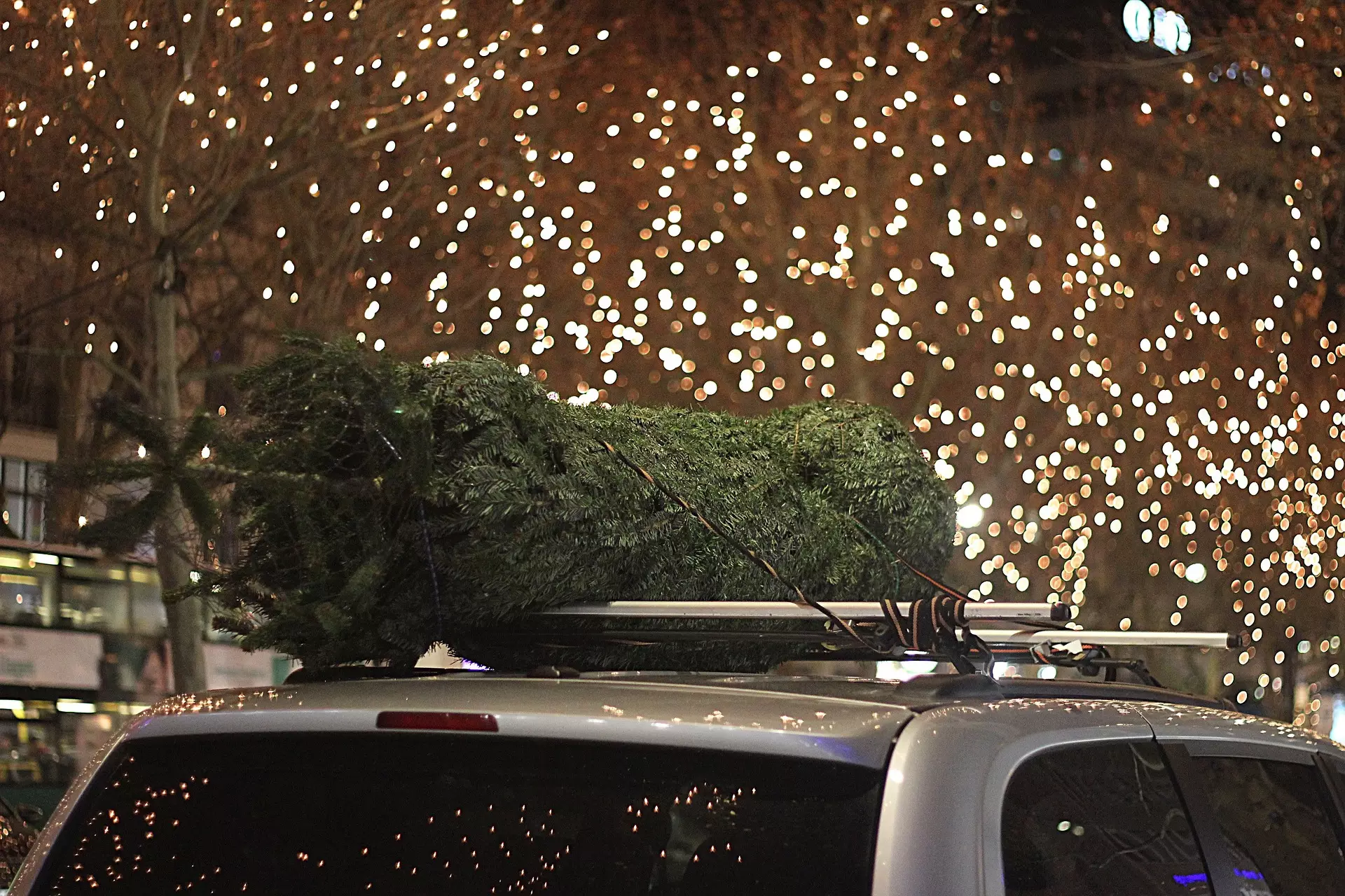 Accidentes navideños: árbol en el techo del automóvil