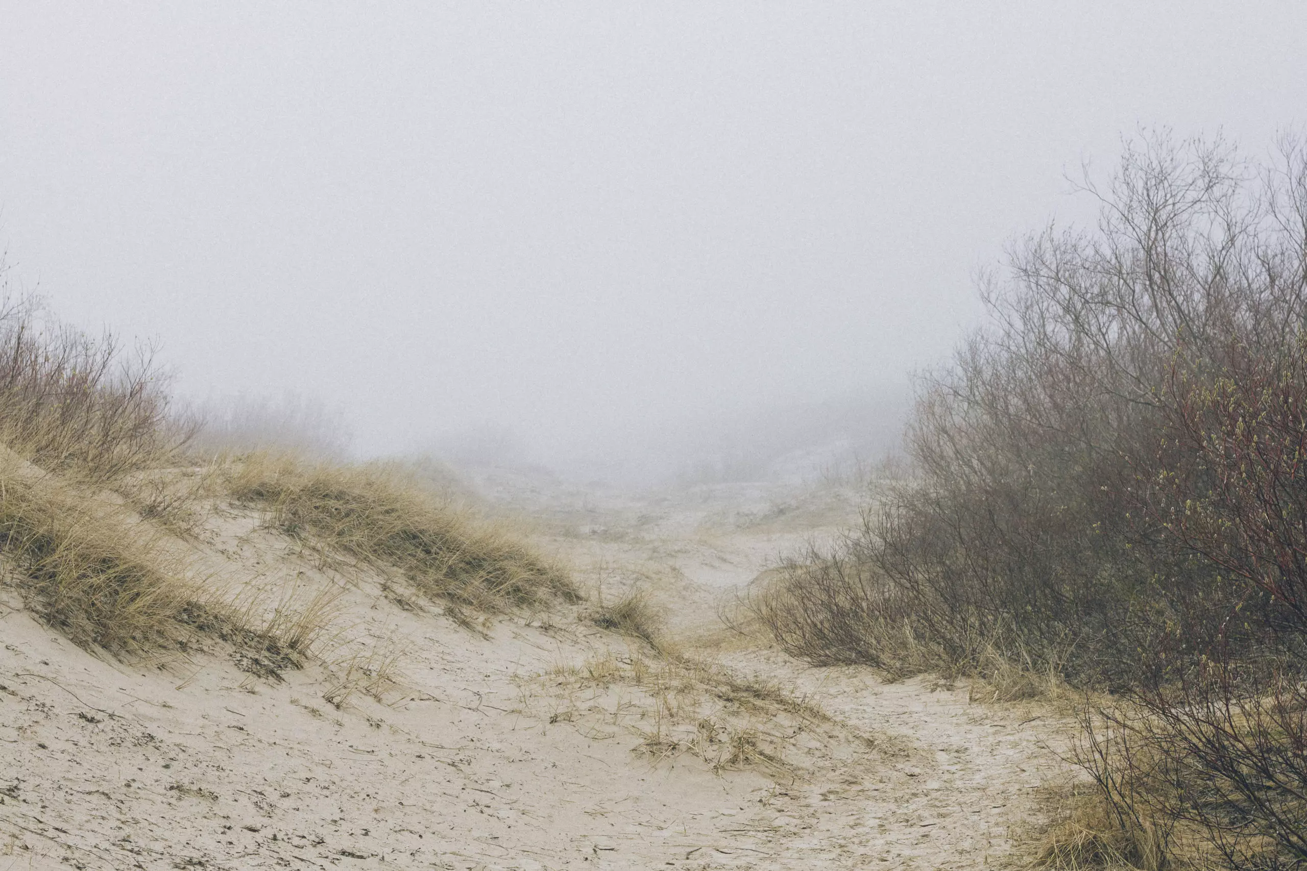 Брайан Хатчинсон ADHD менен анын өйдө-ылдыйлары, туман жана айкындыгы жөнүндө айтып берет