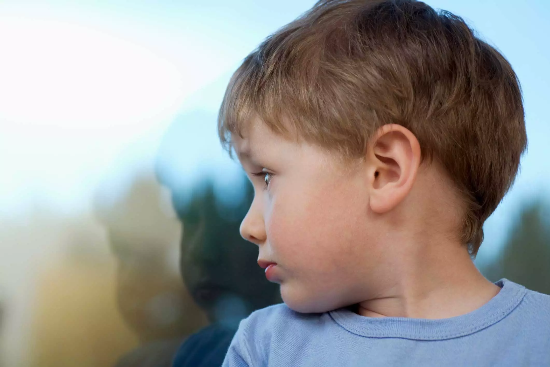 Sobre el LD en nens amb TDAH: Trastorn de processament auditiu central