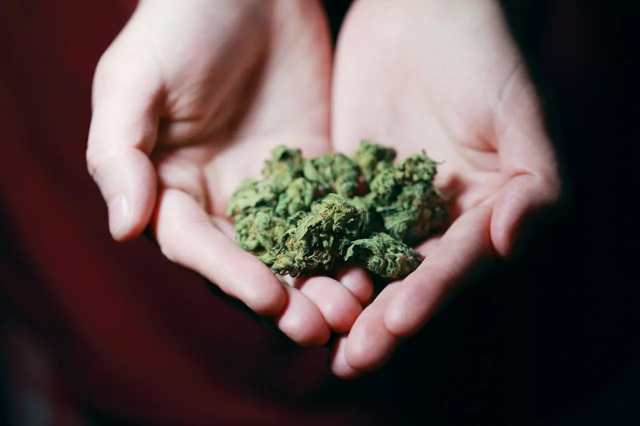 Cannabis at marijuana na ginagamit ng mga kabataang may ADHD