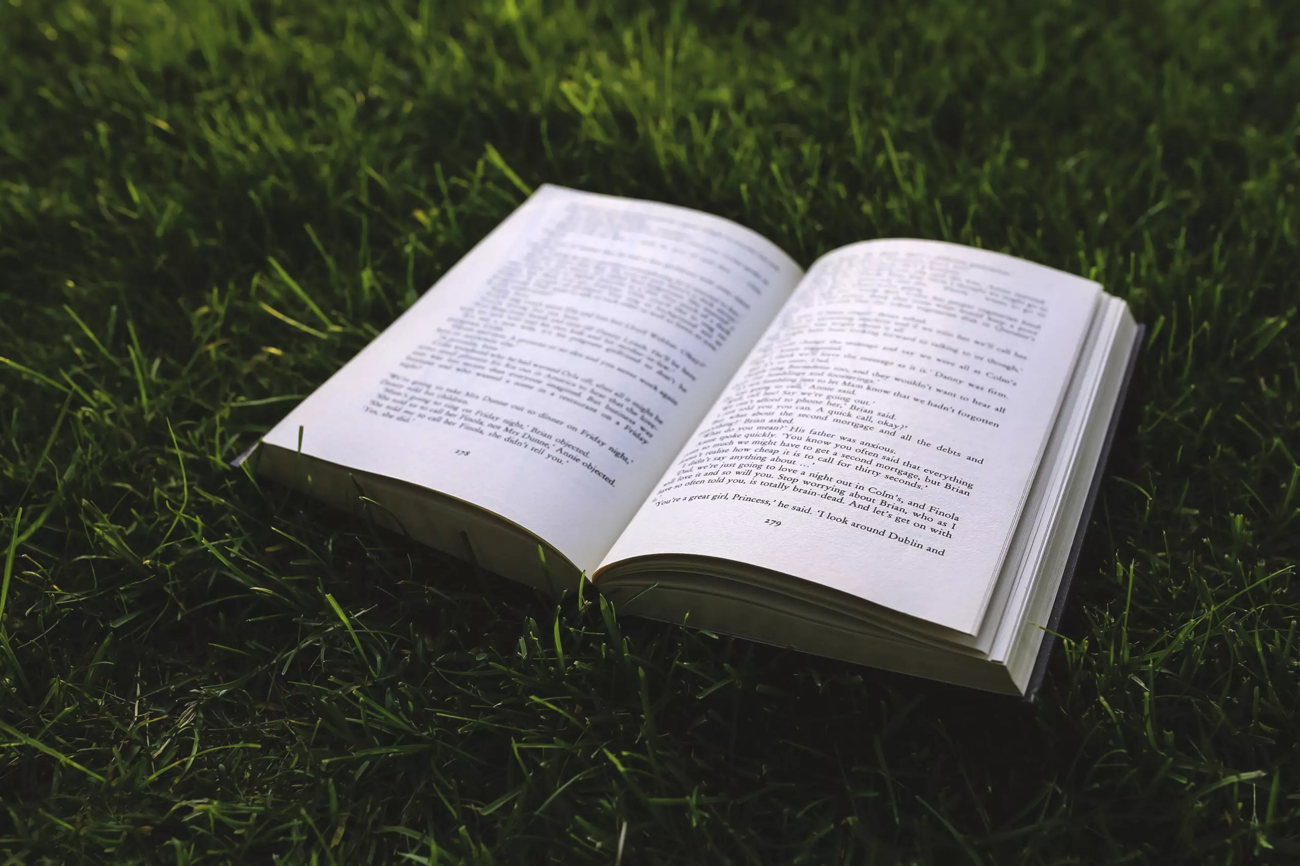 Otvorena knjiga na travi