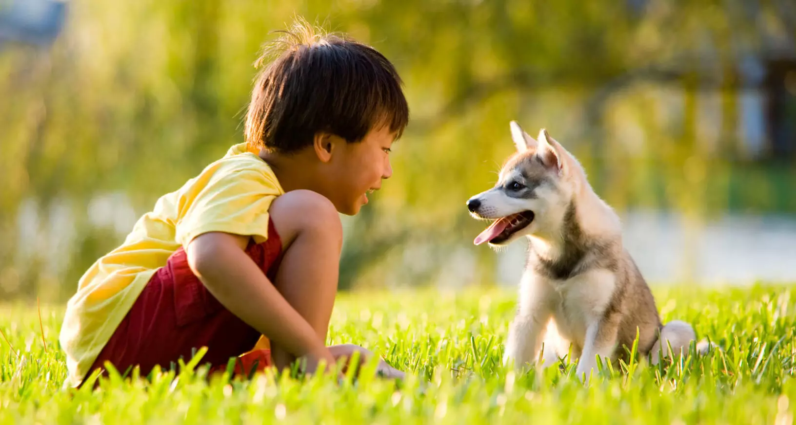 Mazs zēns ar ADHD sēž ārā uz zāles ar mājdzīvnieka kucēnu