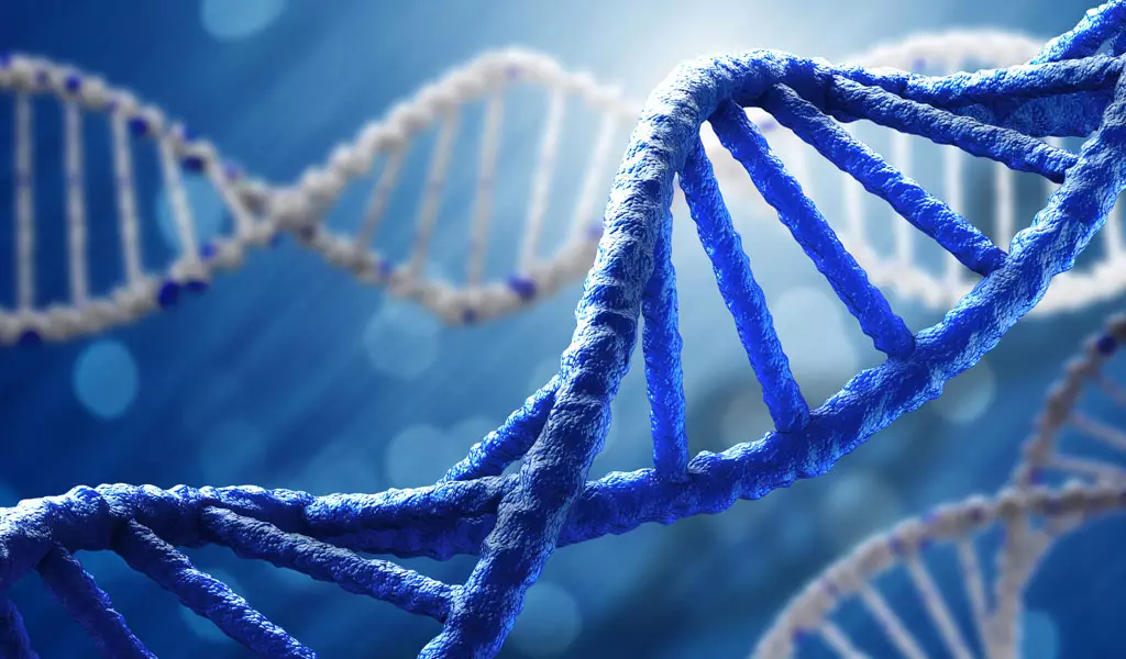 Harmonyx DEHB dərmanları üçün genetik test buraxır