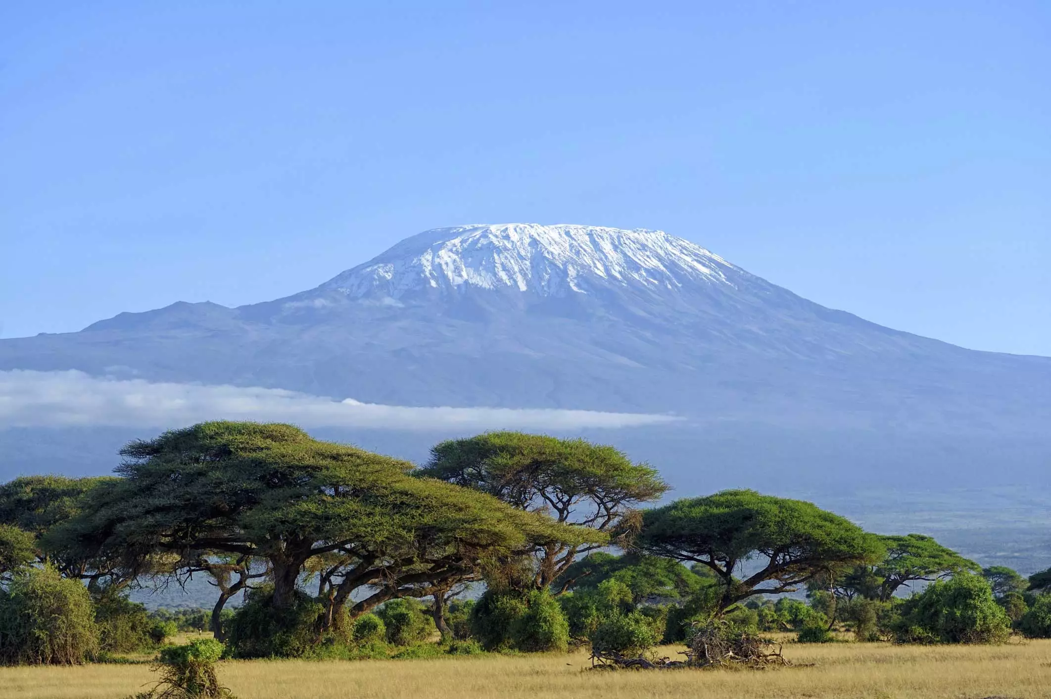 ADHD keseli ulular üçin dyrmaşmak Kilimanjaro dagy