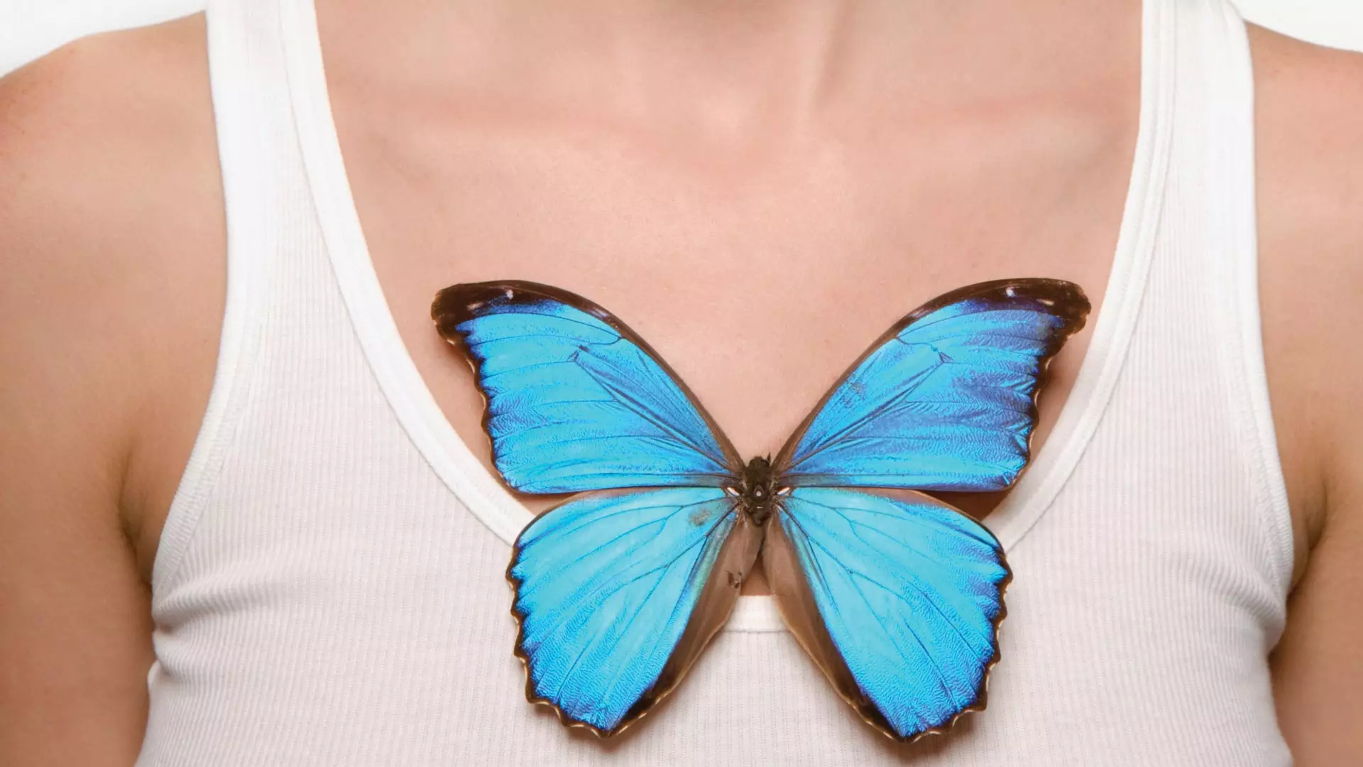 Modrý motýl představující terapii přijetí a závazku