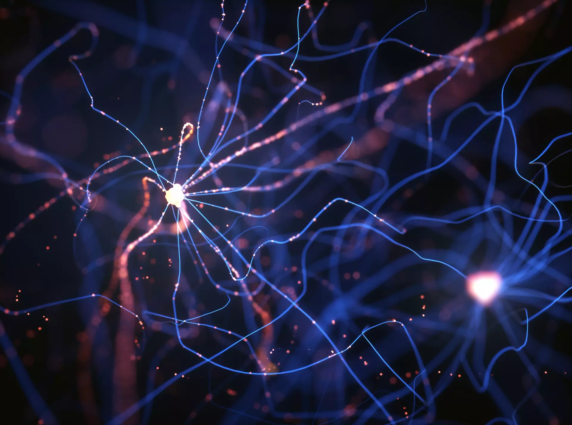 Neurons Electric Pulses