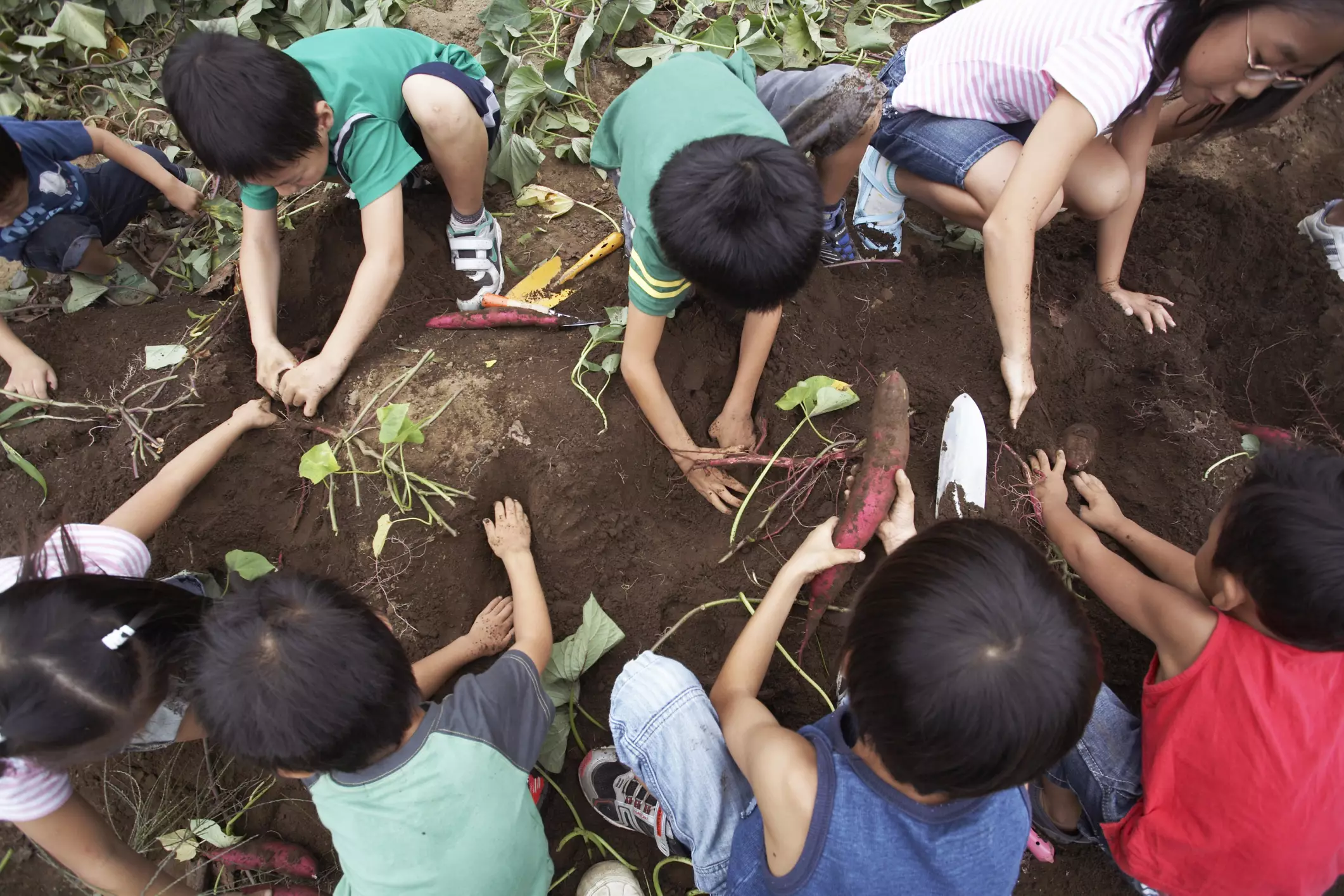 Niet-traditioneel leren op school met kinderen met ADHD die in de tuin werken