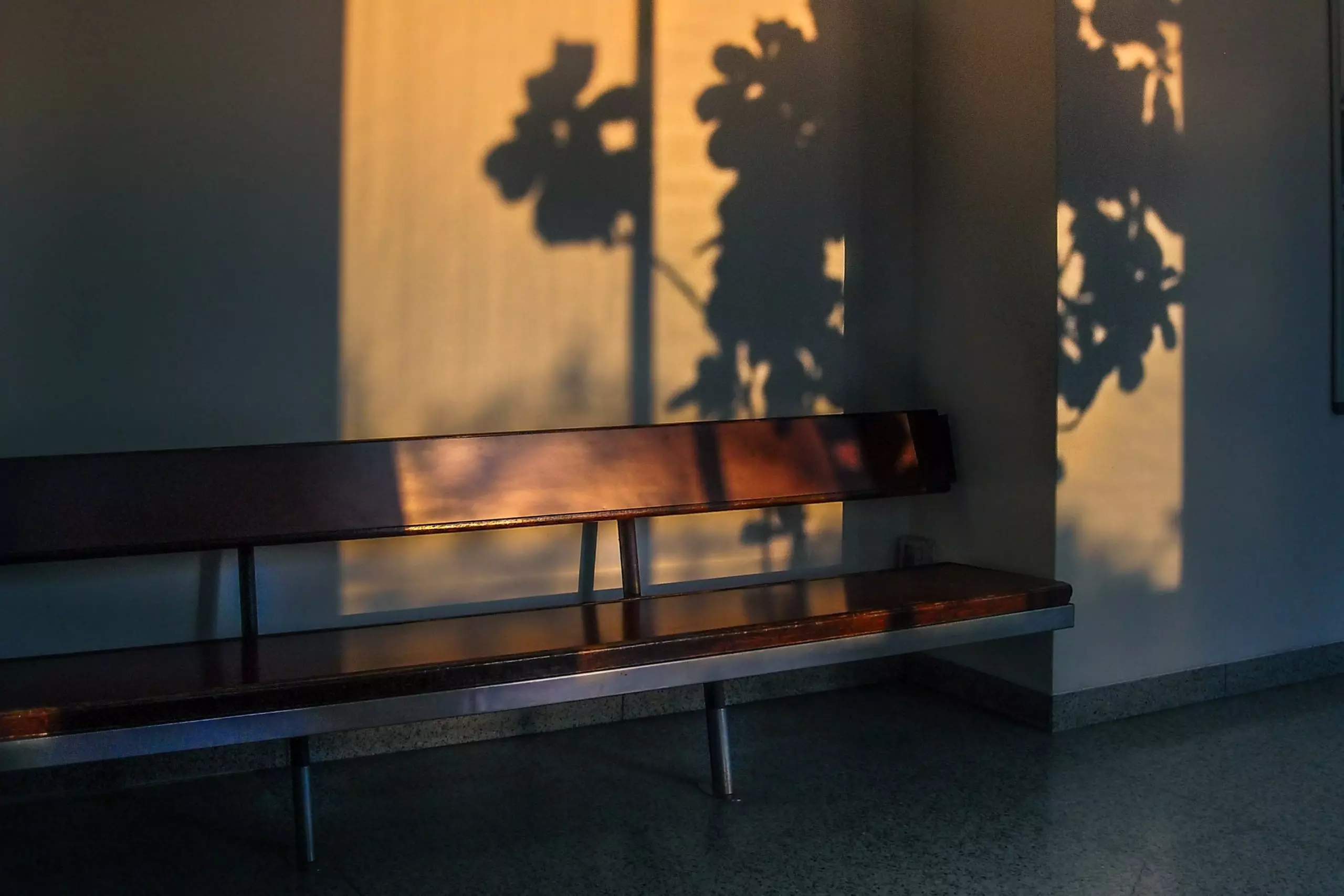 抚养双极孩子可能会很孤独，就像这张长凳，光影流过窗户
